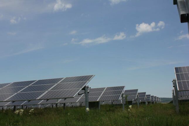 Consultation | Mount Field Solar Farm