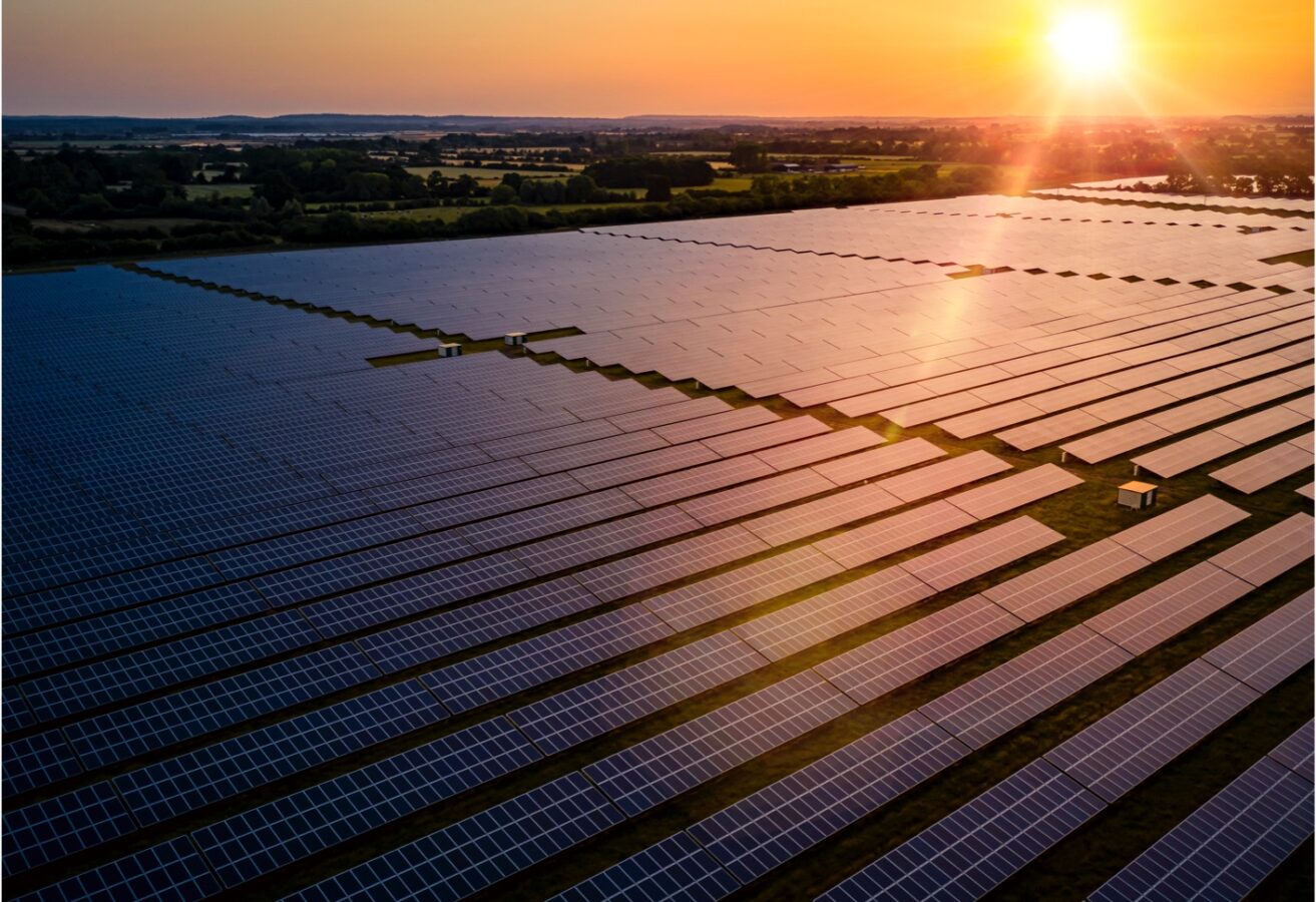 Home | Mount Field Solar Farm